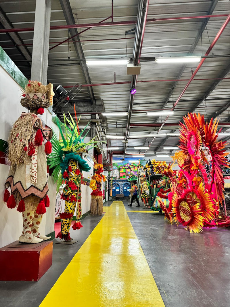 Regular Tour: A behind-the-scenes tour of Rio's Carnival at Cidade do